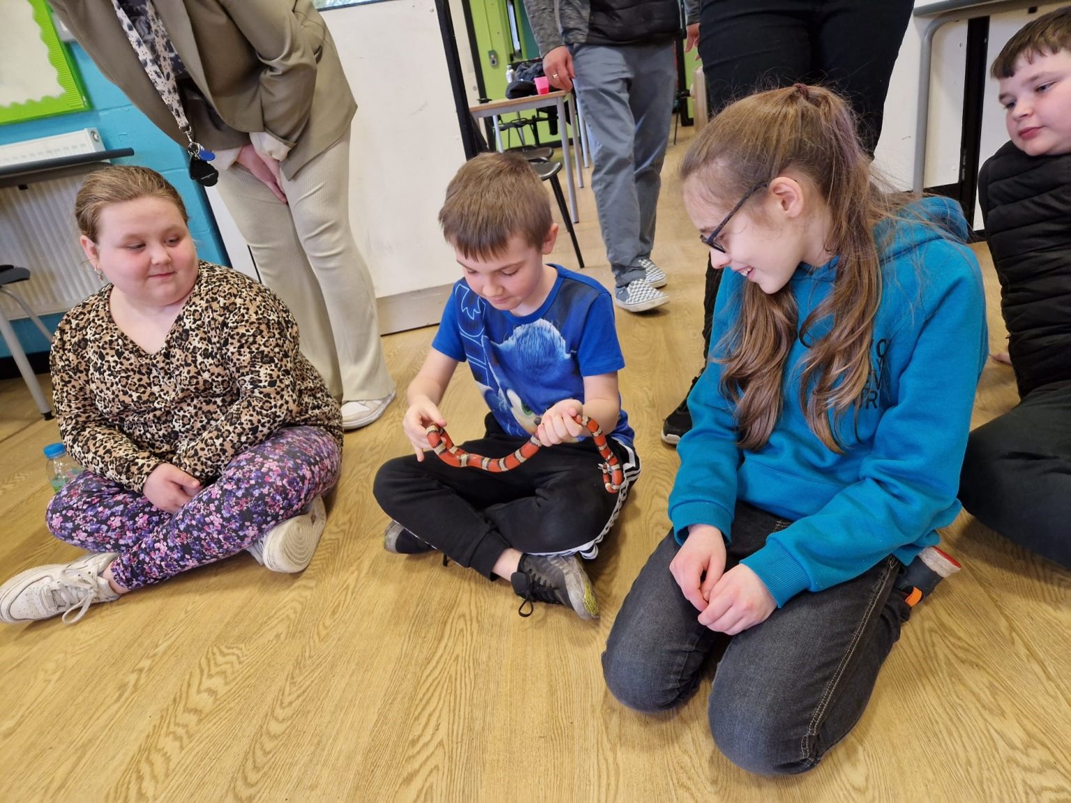 Holiday Activities Fund – HAF | Bloxwich Community Partnership